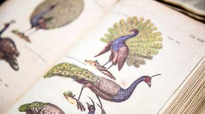Floorplan | Chelsea Rare Book Fair